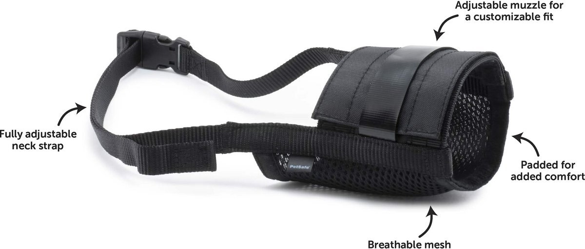 PETSAFE Dog Muzzle, Black, Small - Chewy.com
