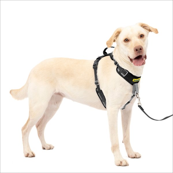 PETSAFE Easy Walk Comfort Reflective No Pull Dog Harness, Black, Large ...