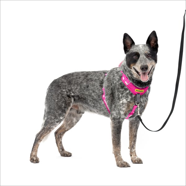 PETSAFE Easy Walk Comfort Reflective No Pull Dog Harness, Pink, Medium ...
