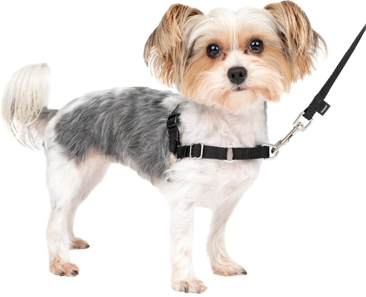PETSAFE Easy Walk Dog Harness, Black/Silver, Petite/Small - Chewy.com