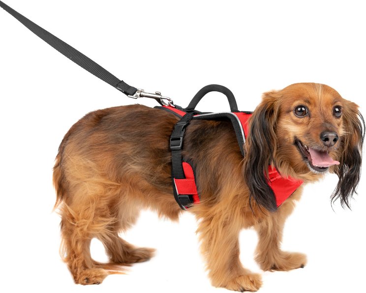 EXTRA SMALL & TOY BREEDS DOG HARNESSES - FREE SHIPPING | CHEWY