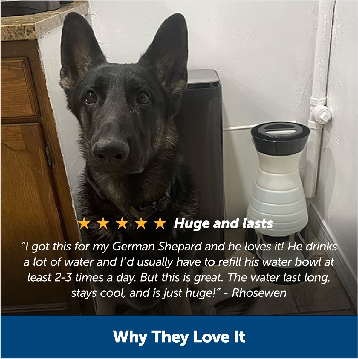 PETSAFE Healthy Gravity Refill Dog & Cat Waterer, 128-oz - Chewy.com