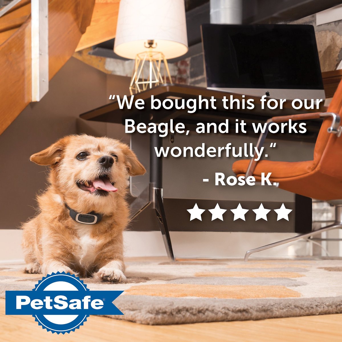 PETSAFE Lite Waterproof Rechargeable Static Dog Bark Collar - Chewy.com