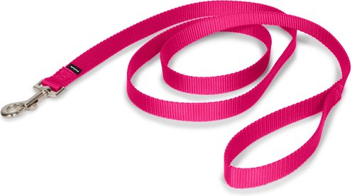 SMALL BREED DOG LEASHES & COLLARS (Free Shipping) | Chewy