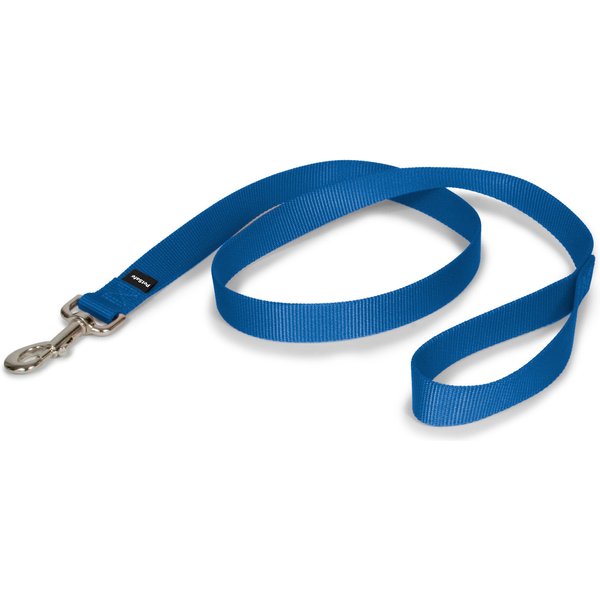 FRISCO Solid Nylon Dog Leash, Blue, Small: 6-ft long, 5/8-in wide ...
