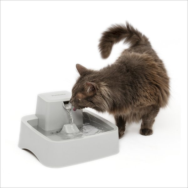 HANAMYA Automatic Dog & Cat Water Fountain, White - Chewy.com