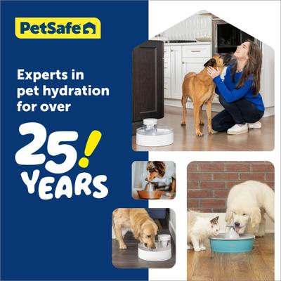 PETSAFE Outlast Pumpless Cat Water Fountain, White, 128-oz - Chewy.com