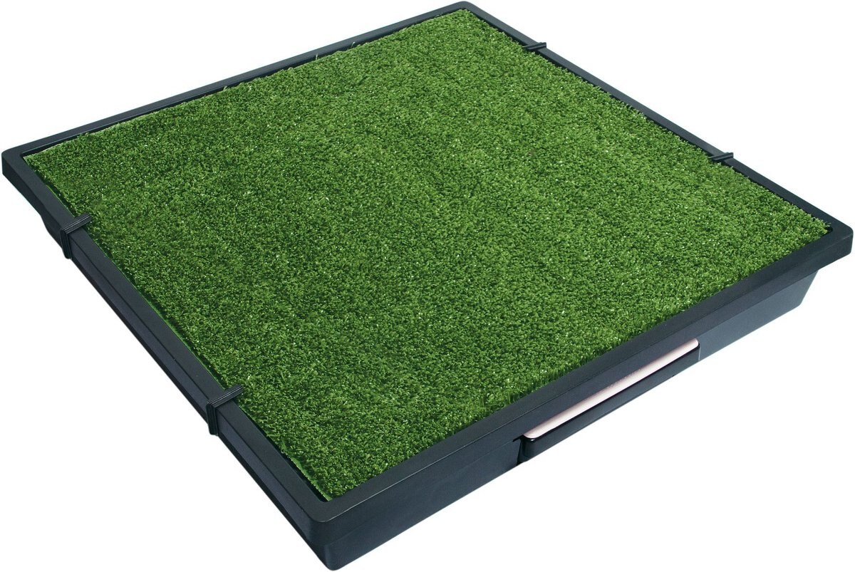 PETSAFE Pet Loo Portable Indoor & Outdoor Dog Potty, Large - Chewy.com