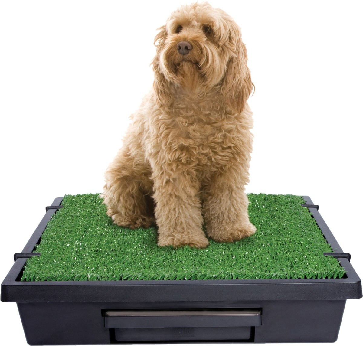 PETSAFE Pet Loo Portable Indoor & Outdoor Dog Potty, Medium - Chewy.com