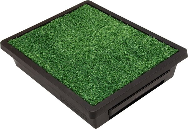 PETSAFE Pet Loo Portable Indoor & Outdoor Dog Potty, Small - Chewy.com