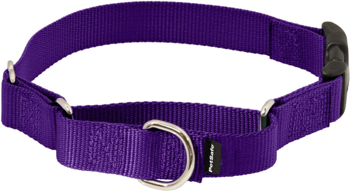 PETSAFE Quick Snap Buckle Nylon Martingale Dog Collar, Deep Purple ...