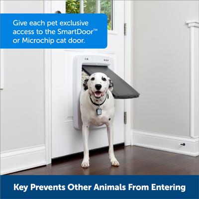 PETSAFE RFID Smart Key for Dog Door, Gray, Large - Chewy.com