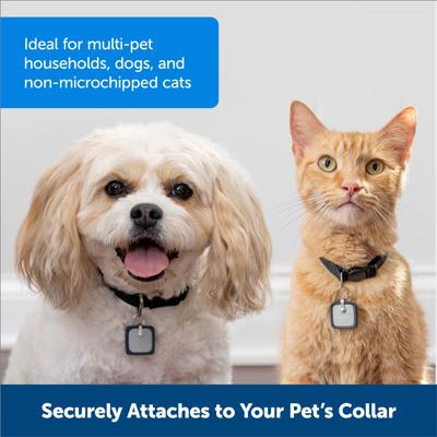 PETSAFE RFID Smart Key for Dog Door, Gray, Large - Chewy.com