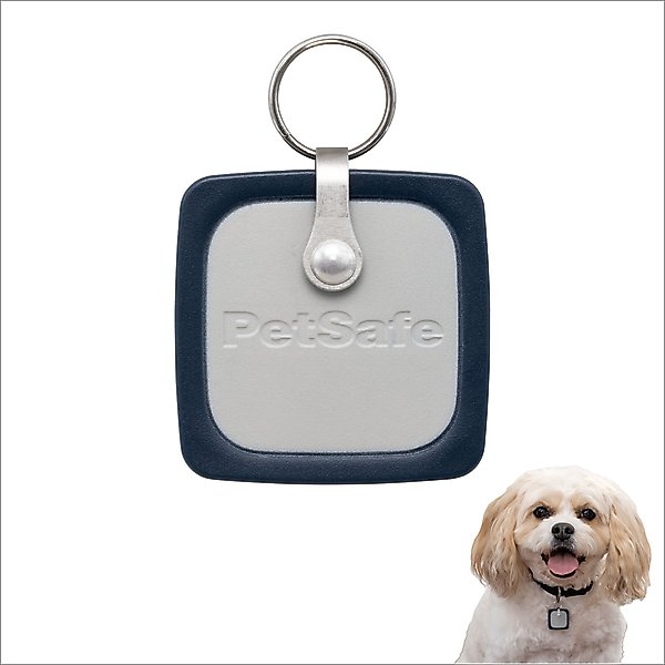 PETSAFE RFID Smart Key for Dog Door, Gray, Medium - Chewy.com