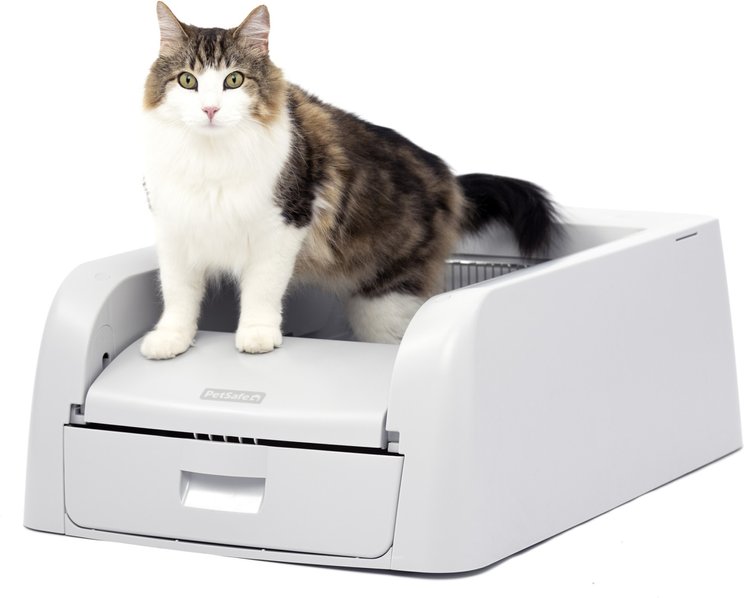 AUTOMATIC CAT LITTER BOXES (Free Shipping) | Chewy