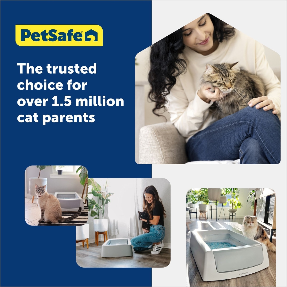PETSAFE ScoopFree Complete Disposable Crystal Cat Litter Tray, 12 count ...