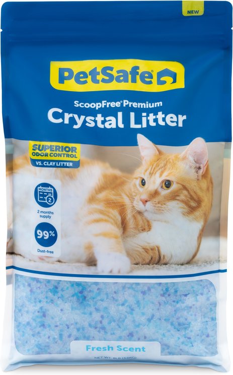 Crystal Litter For Cats (Free Shipping) | Chewy