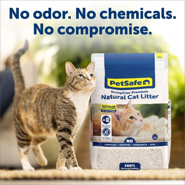 PETSAFE ScoopFree Premium Natural Non-Clumping Cat Litter, 8-lb bag ...
