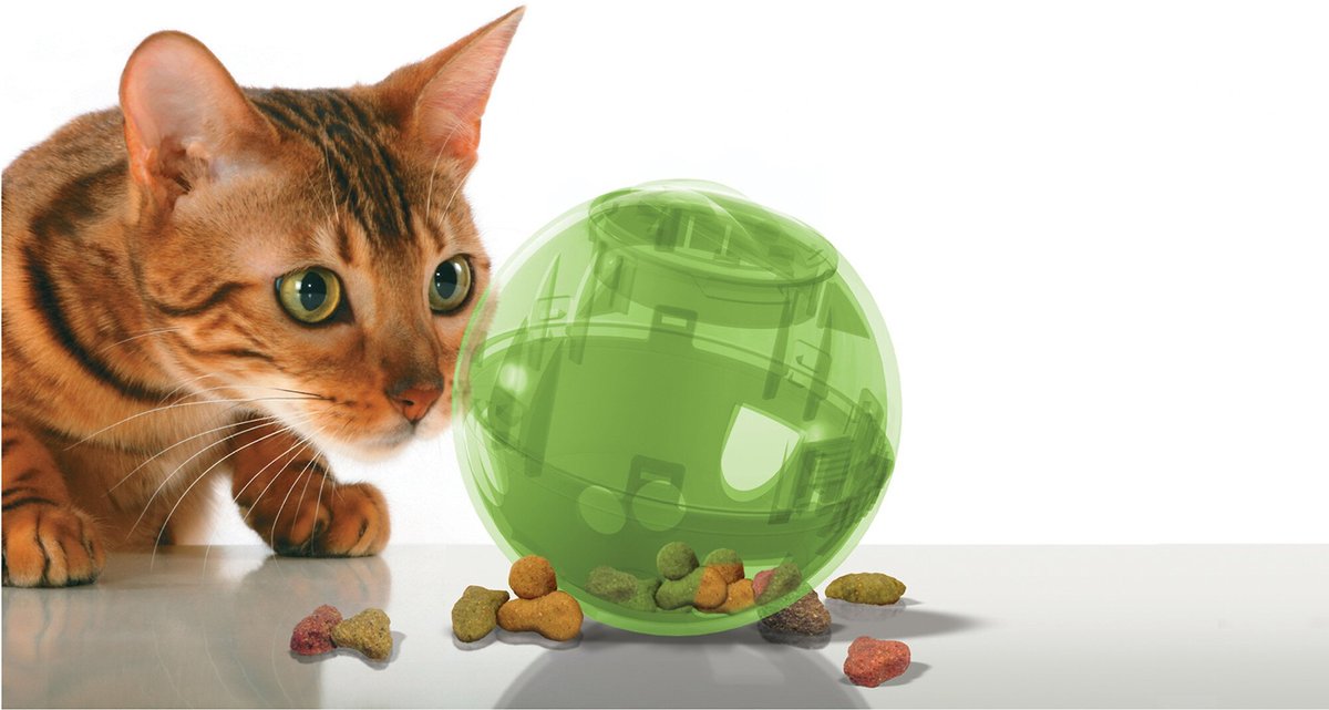 PETSAFE SlimCat Interactive Cat Feeder, Green, 0.66-cup - Chewy.com