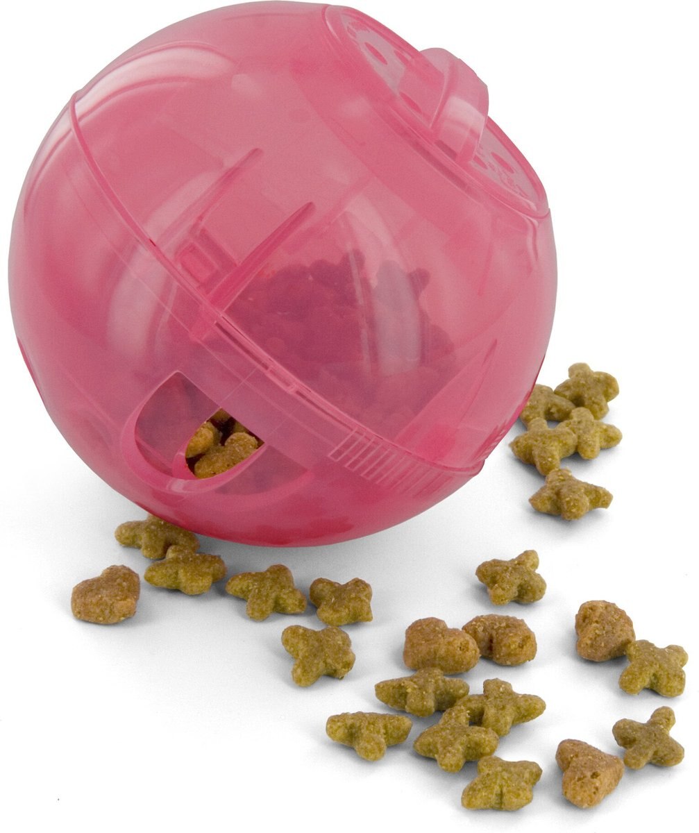 PETSAFE SlimCat Interactive Cat Feeder, Pink, 0.66-cup - Chewy.com