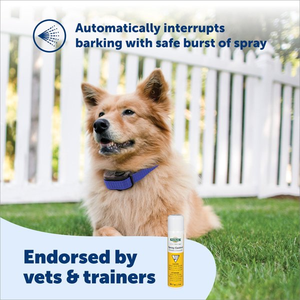 PETSAFE Spray Control Refill, Citronella Scent, 3-oz - Chewy.com