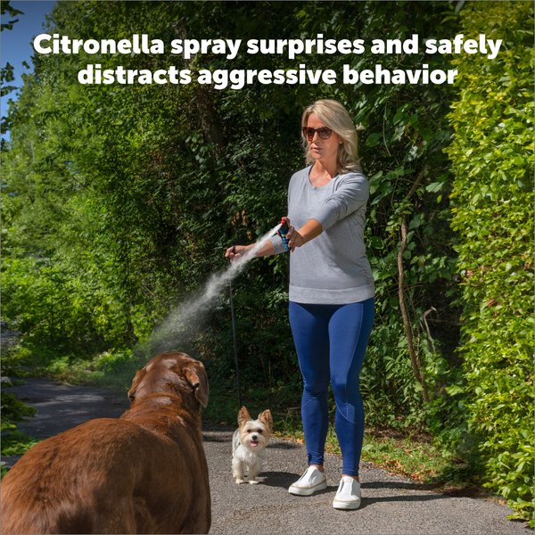 PETSAFE Spray Shield Animal Deterrent Spray - Chewy.com