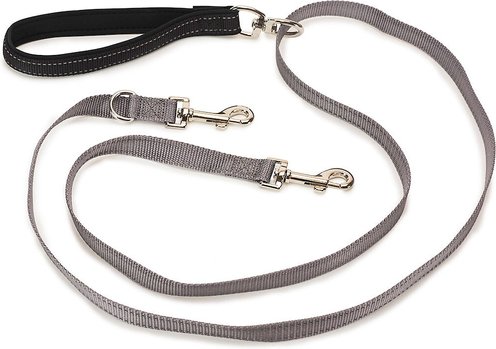 PetSafe Collars, Leashes & Harnesses - Free shipping | Chewy