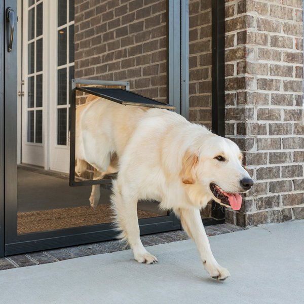 PETSAFE Window & Porch Screen Pet Door, Large - Chewy.com