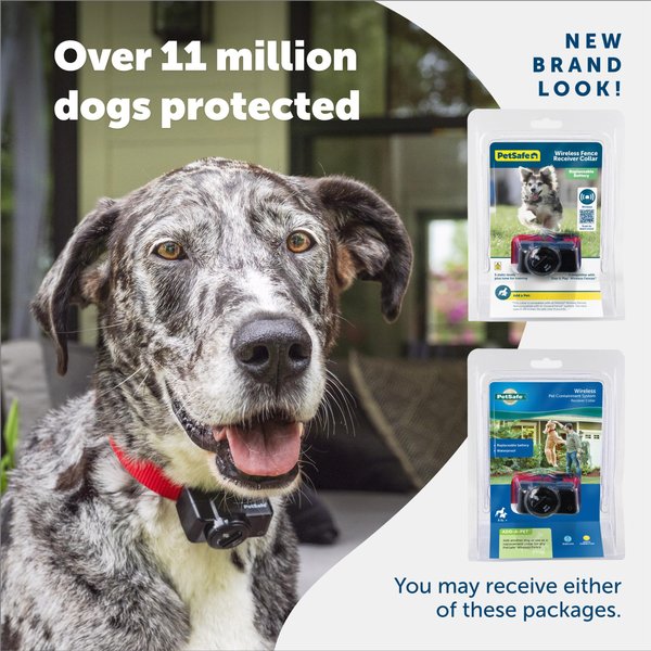 PETSAFE Wireless Fence Receiver Collar - Chewy.com