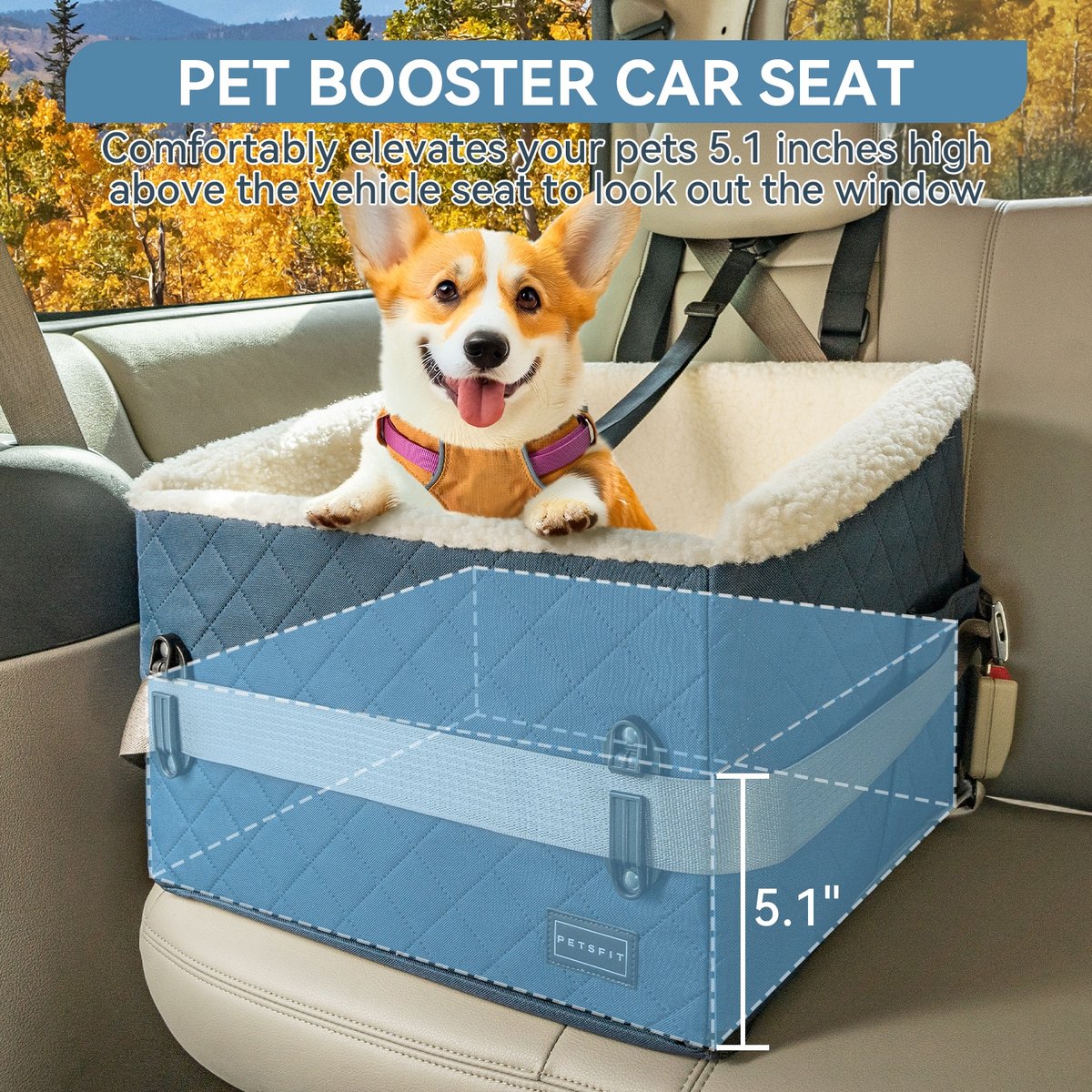 PETSFIT Medium Dog Car Booster Seat, Blue - Chewy.com