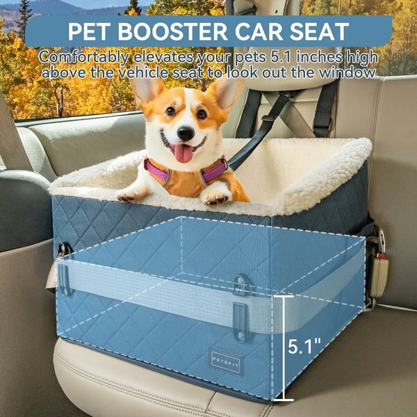 PETSFIT Medium Dog Car Booster Seat, Blue - Chewy.com
