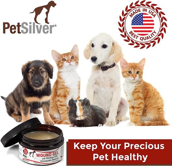 PETSILVER Chelated Silver with Hemp Oil Wound Gel for Dogs & Cats, 4-oz ...