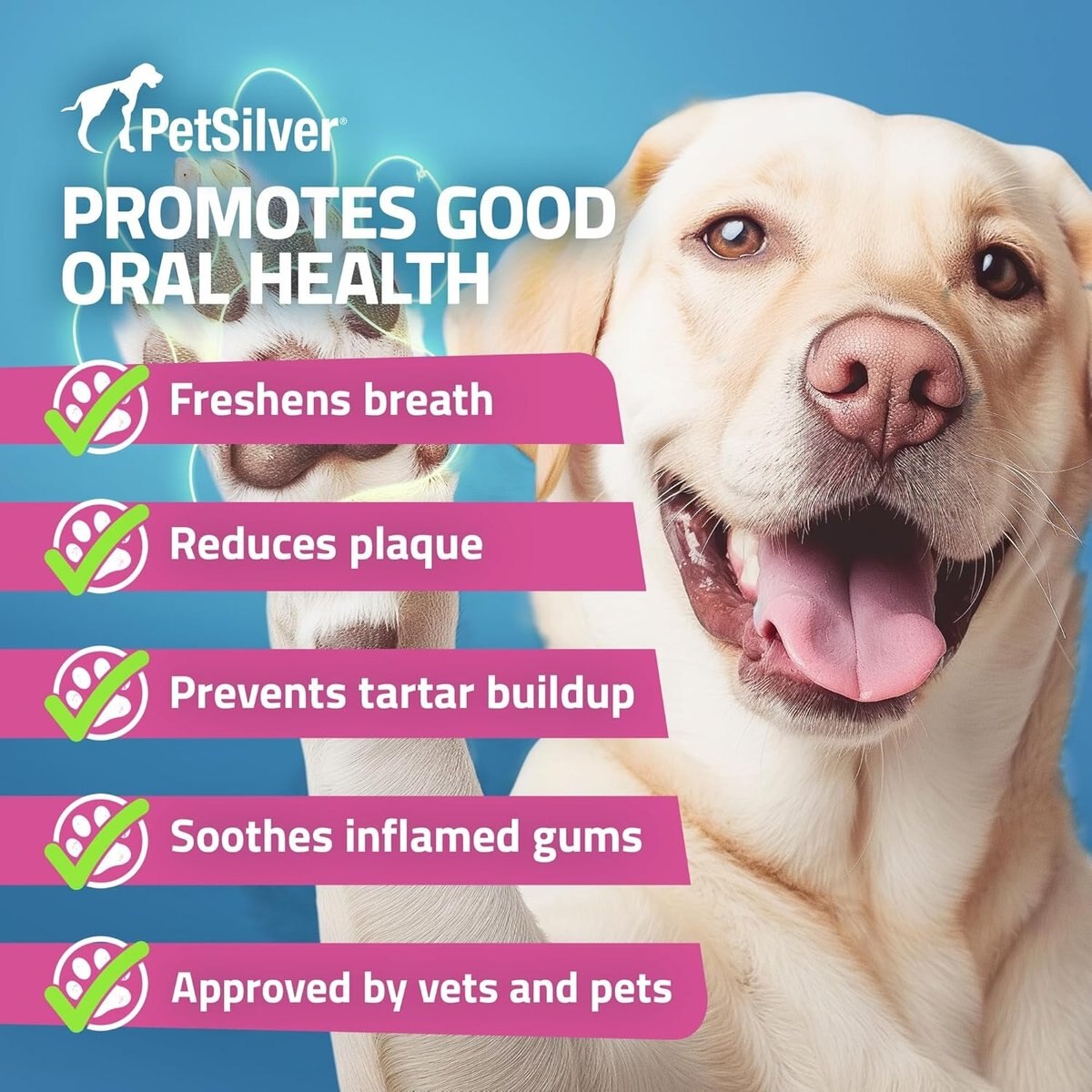 PETSILVER Teeth & Gum Dog Dental Spray, 4-fl oz bottle - Chewy.com
