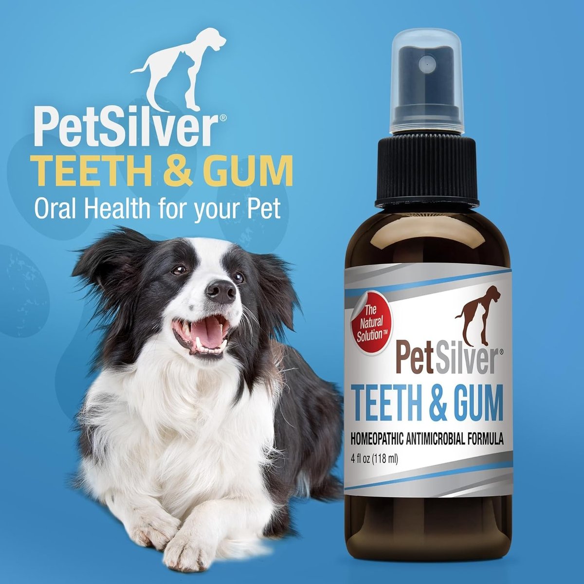 PETSILVER Teeth & Gum Dog Dental Spray, 4-fl oz bottle - Chewy.com
