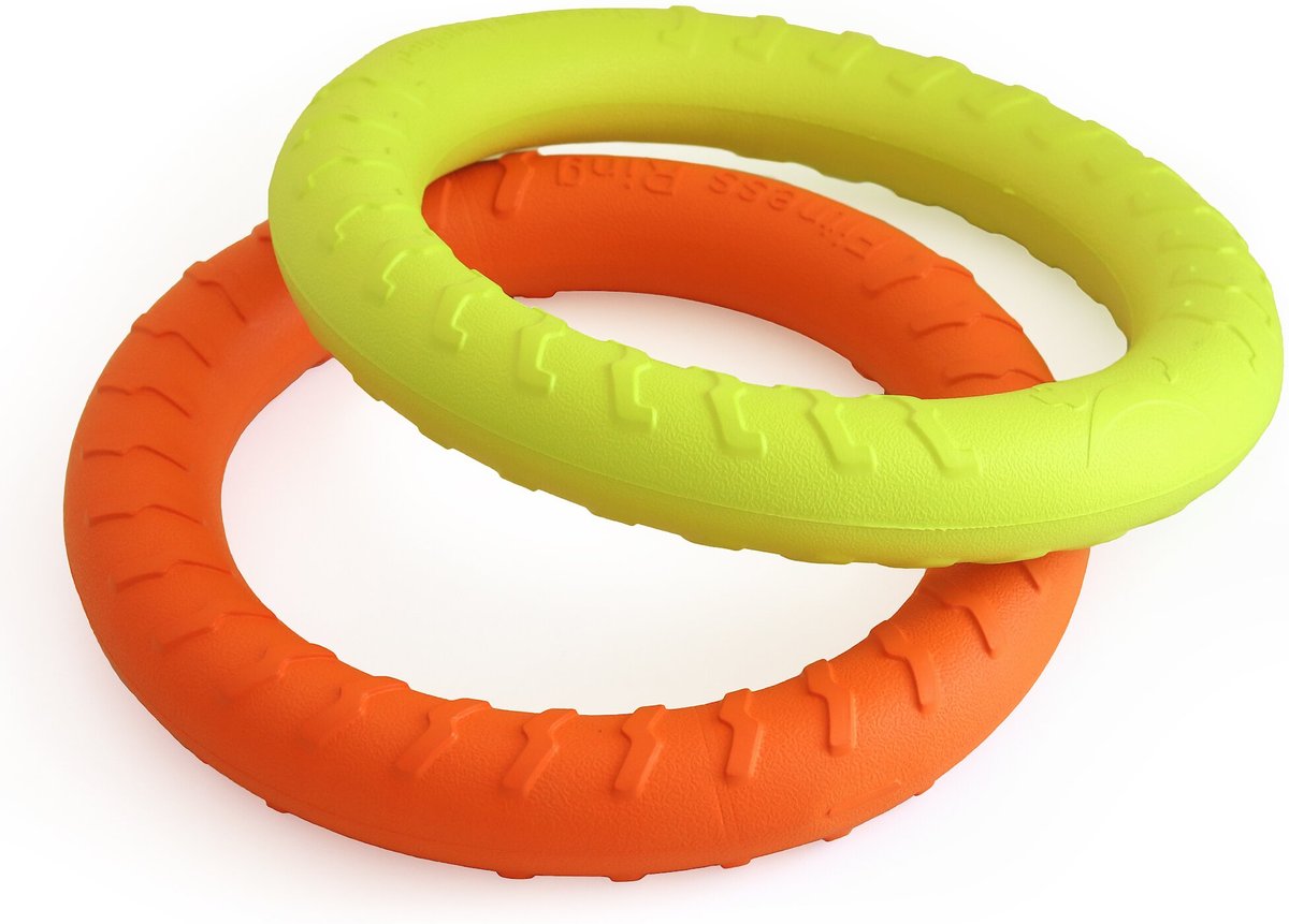 PETSPY Fitness Ring Dog Toy, Orange, Green, Large, 2 count - Chewy.com