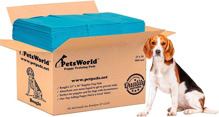 Potty Pads for Dogs: Best Dog Potty Pad Prices (Free Shipping) | Chewy