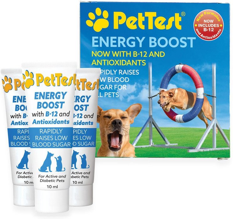 Pet Medical Supplies & Equipment: Cat & Dog Medical Supplies | Chewy RX