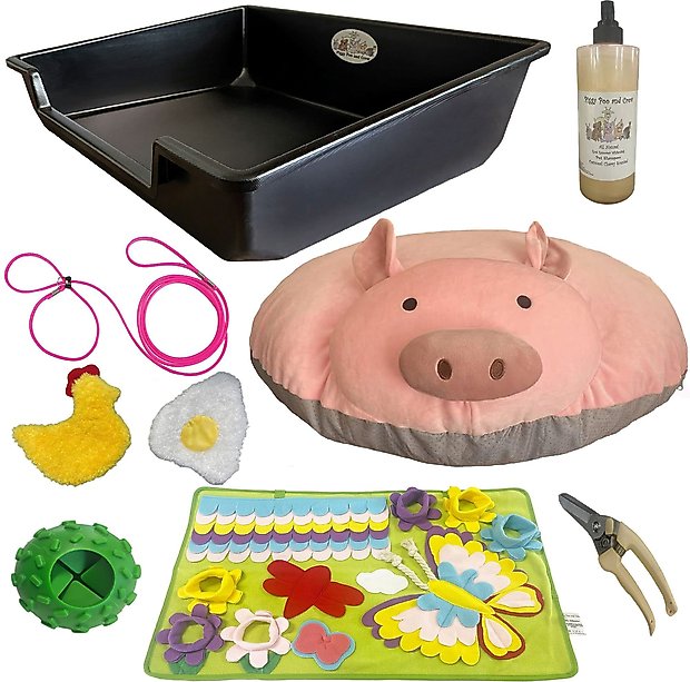 Pig Toys | Chewy