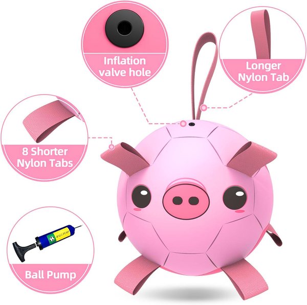 PIGGY POO AND CREW Fetch & Play Soccer Ball Pig Toy - Chewy.com