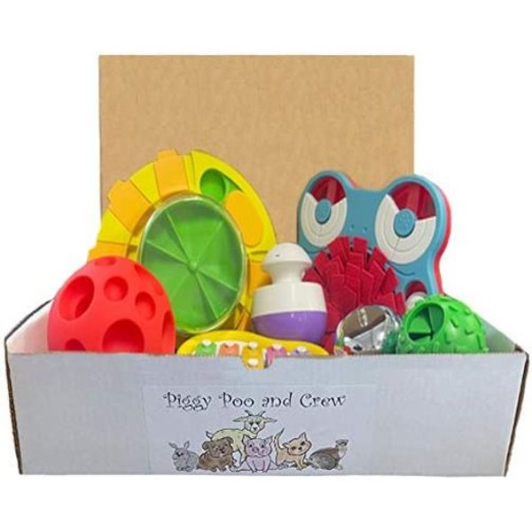 PIGGY POO AND CREW Pig Box Treat & Toy Kit, Green - Chewy.com