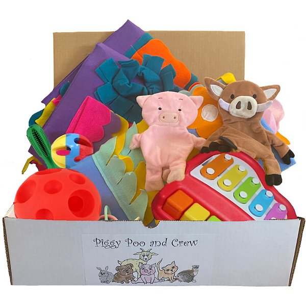PIGGY POO AND CREW Pig Box Treat & Toy Kit, Green - Chewy.com