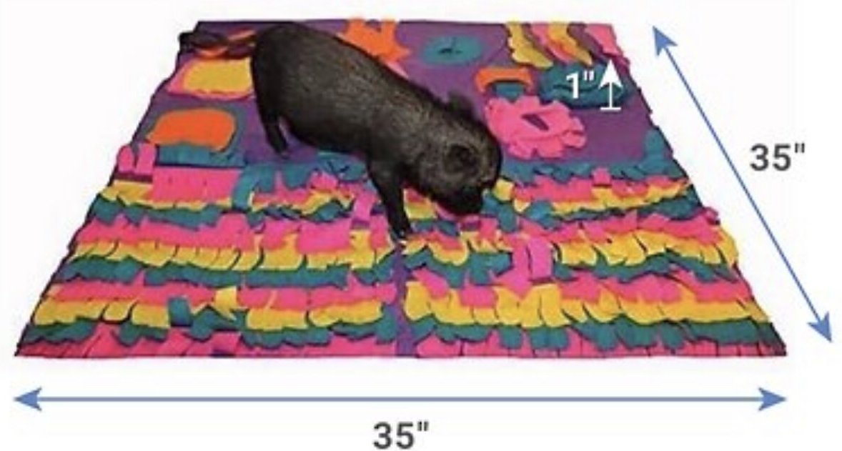 PIGGY POO AND CREW Pig Box Treat & Toy Kit, Green - Chewy.com