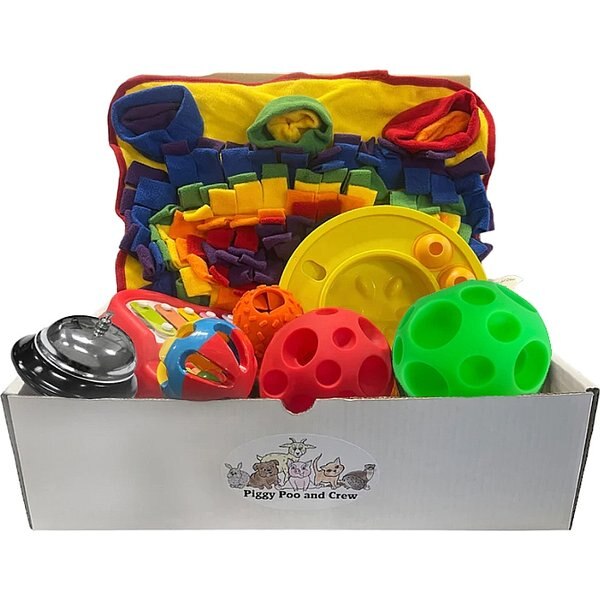 PIGGY POO AND CREW Pig Box Treat & Toy Kit, Pink - Chewy.com