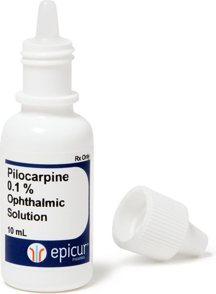 PILOCARPINE COMPOUNDED Ophthalmic Solution, 0.1%, 10 mL - Easy Refills ...
