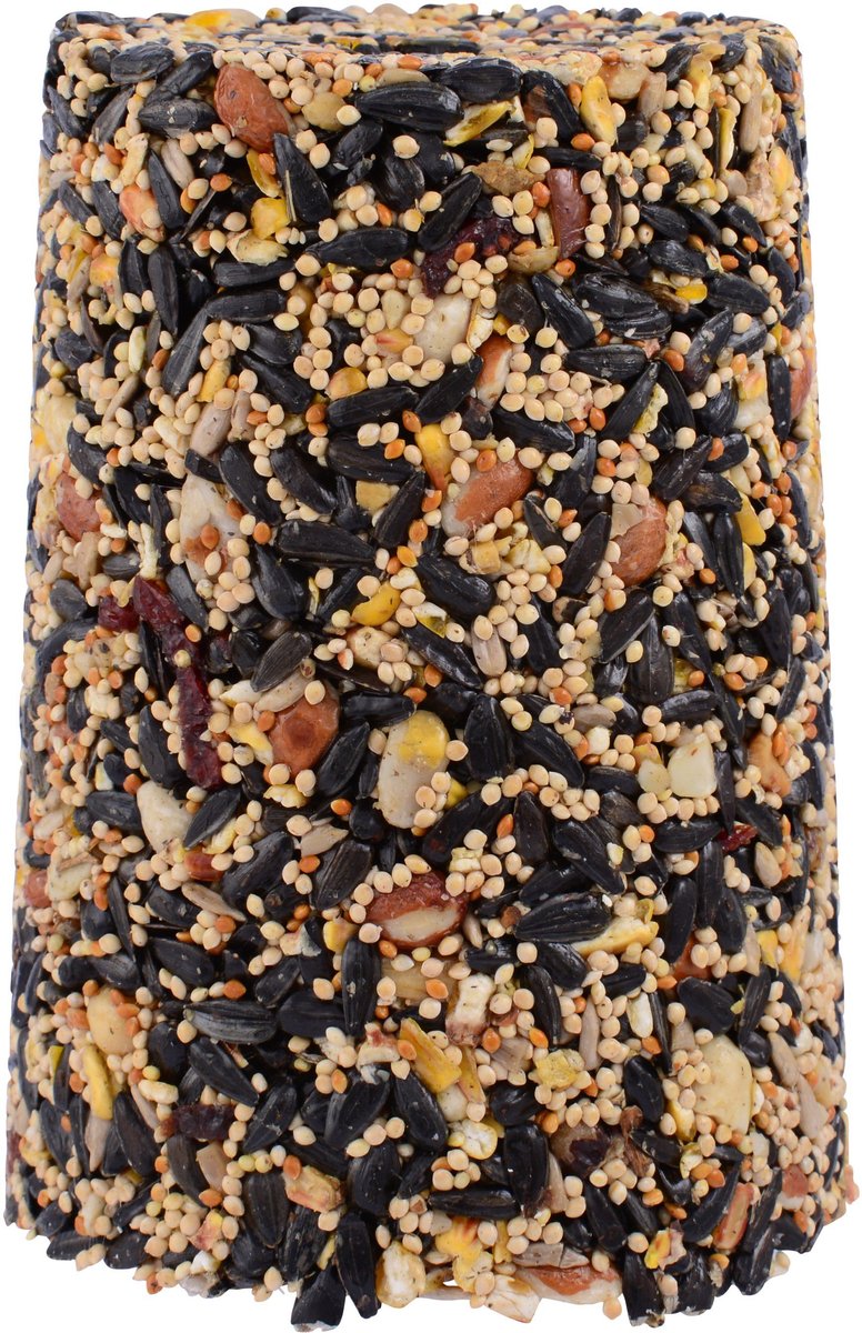 PINE TREE FARMS FruitBerry Nut Classic Seed Log Wild Bird Food, 28-oz ...