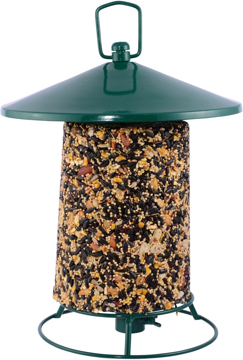 PINE TREE FARMS FruitBerry Nut Classic Seed Log Wild Bird Food, 28-oz ...