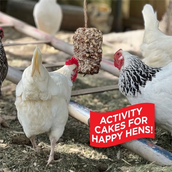PINE TREE FARMS Hen Pecked Mealworm Banquet Classic Hanging Seed Log ...
