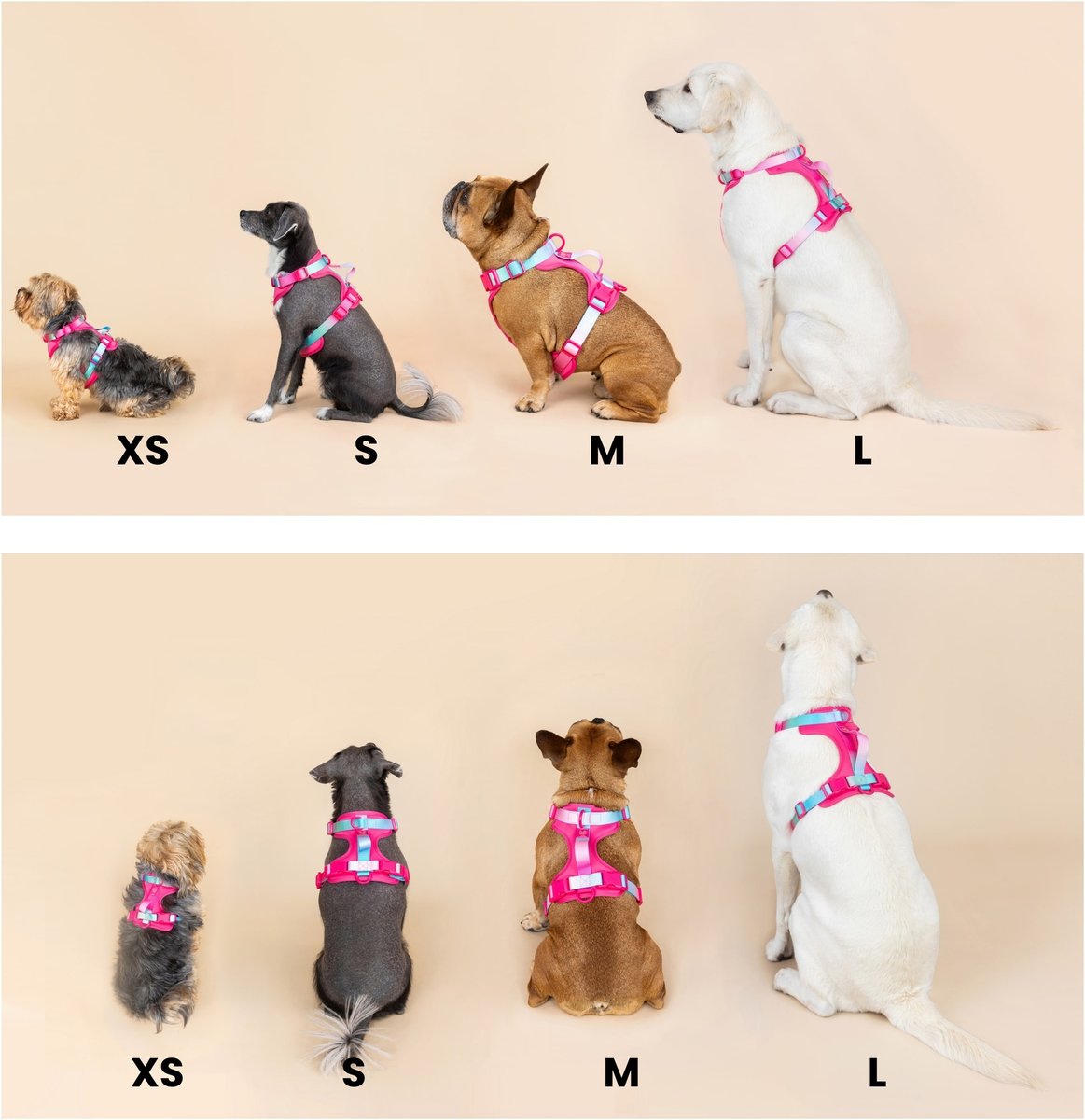 PINK PAPYRUS Adjustable Cushioned Dog Harness, Black, Medium: 20 to 28 ...