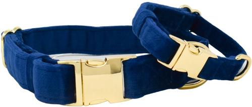 PINK PAPYRUS Synthetic Dog Collar, Blue, Large: 18 to 28-in neck 1-in ...