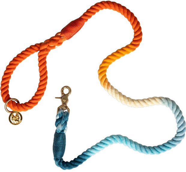 Cute Dog Supplies (Free Shipping) | Chewy